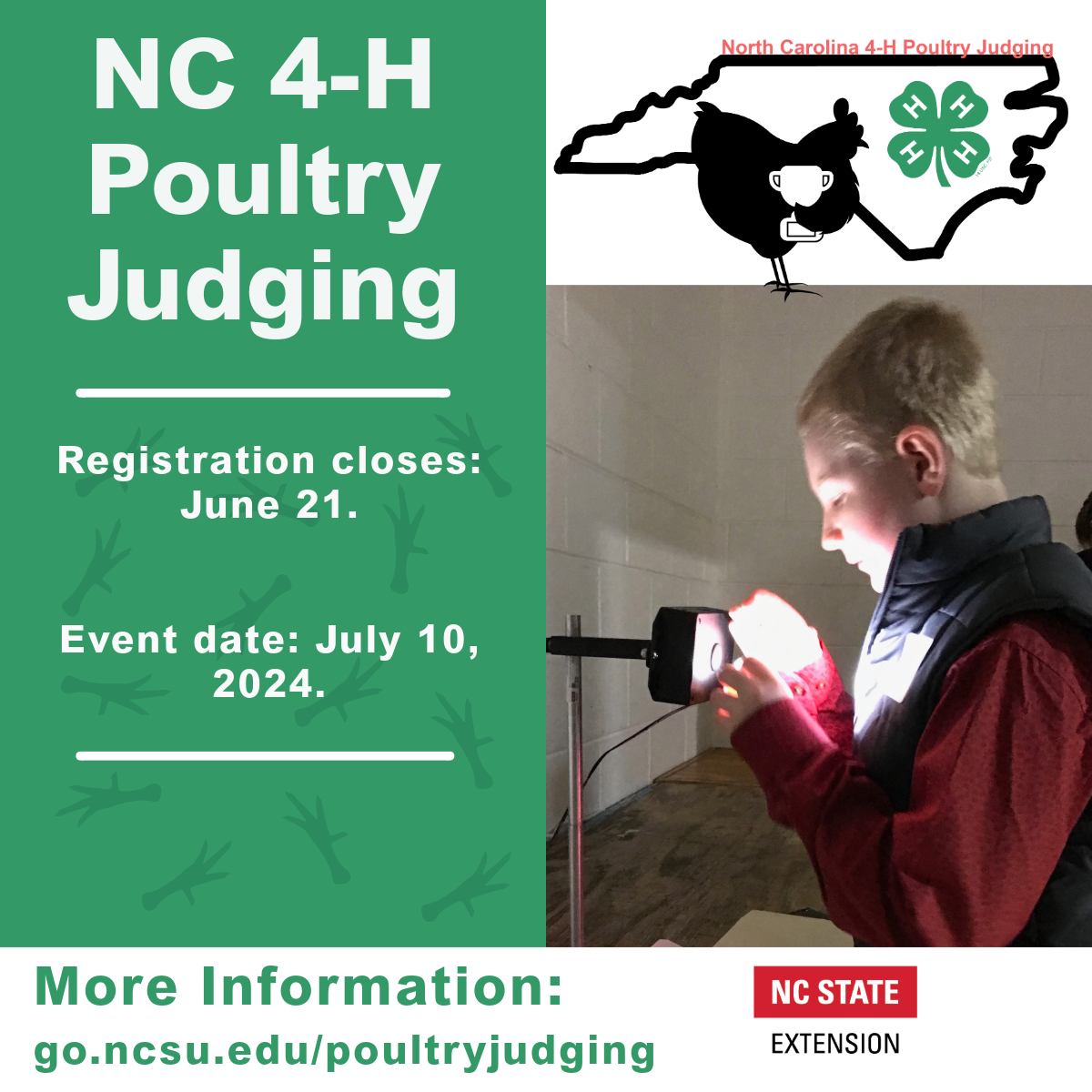 North Carolina 4-H | NC State Extension