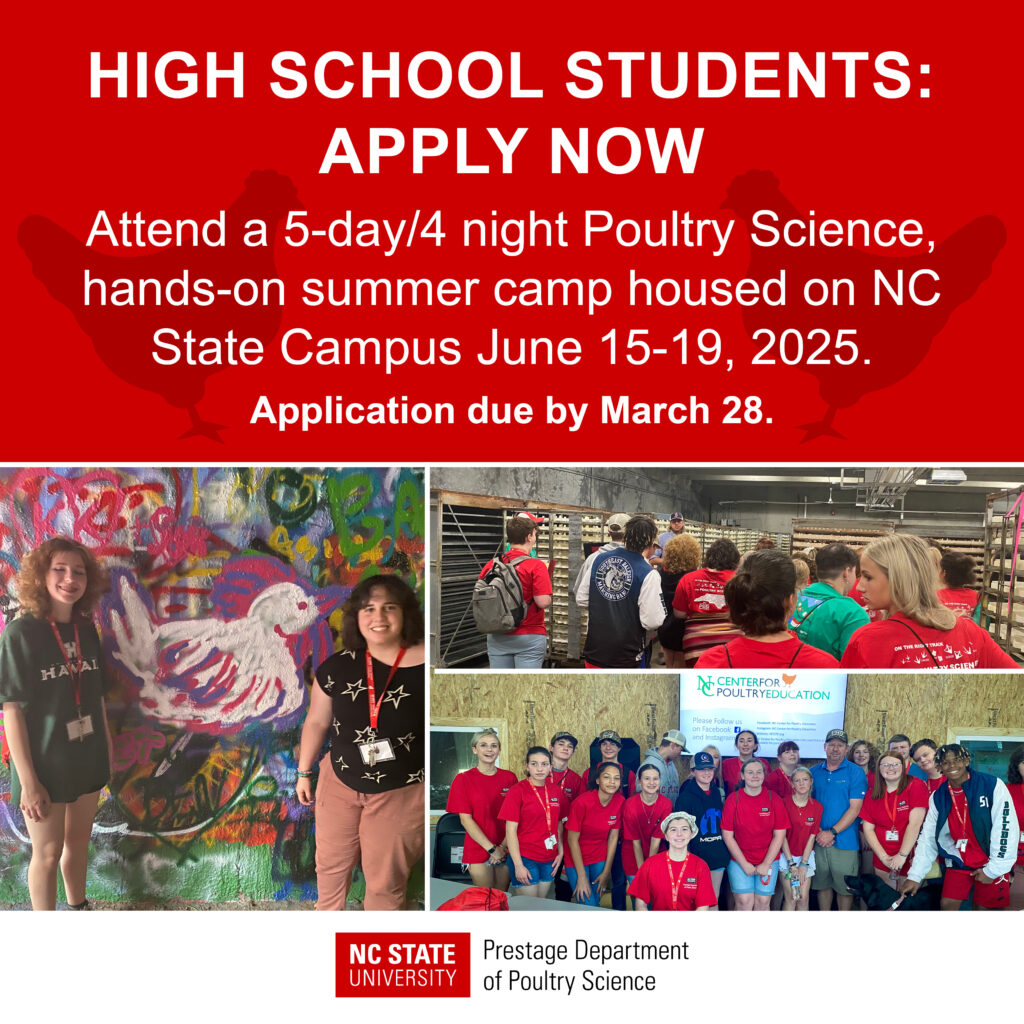 North Carolina 4-H | NC State Extension